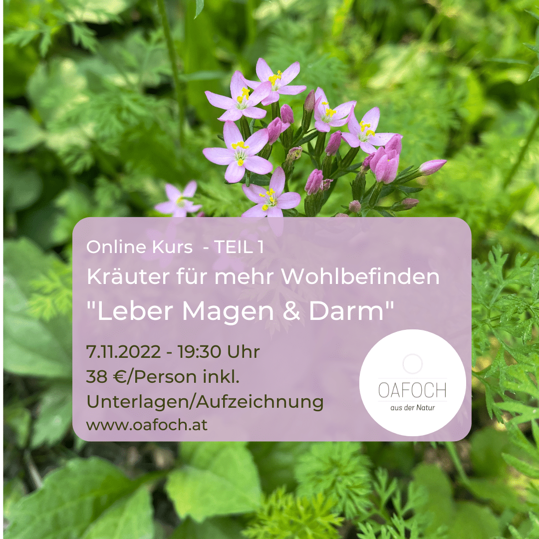 Onlinekurs - Teil 1 - Kräuter für mehr Wohlbefinden "Leber, Magen ...